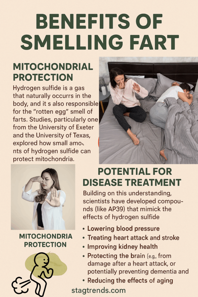 Benefits Of Smelling Fart