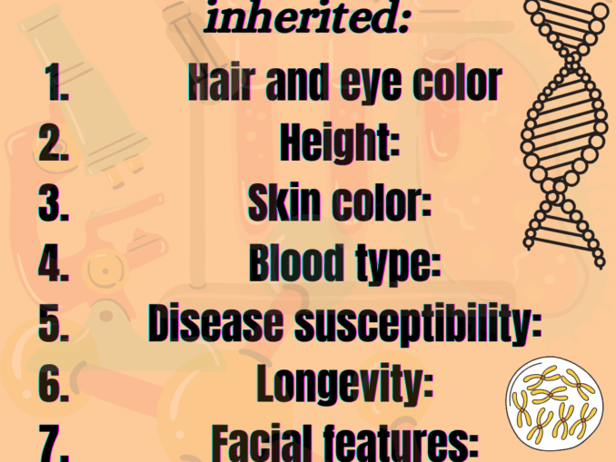 Traits Of Personality, Types of Personalities